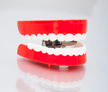 How do teeth function? - Bradford Family Dentistry